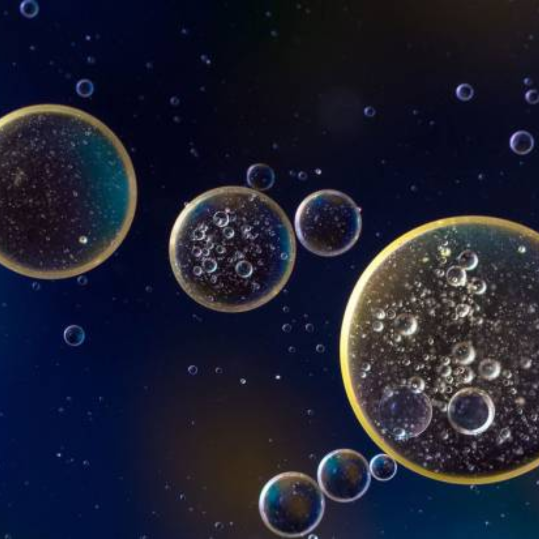 Huile de poisson, krill ou algues : quelle source d’oméga-3 choisir